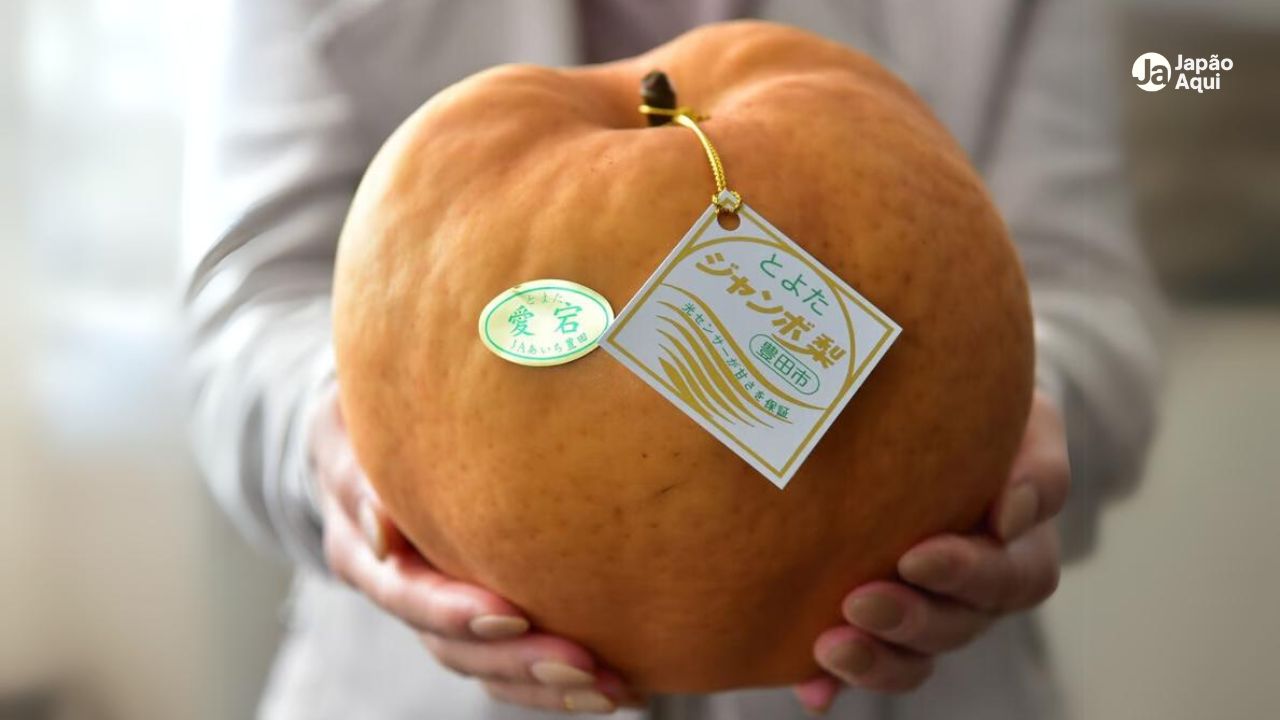 Toyota Realiza Concurso de Pêra Gigante “Atago”: Fruta de 2,6 Kg é ...